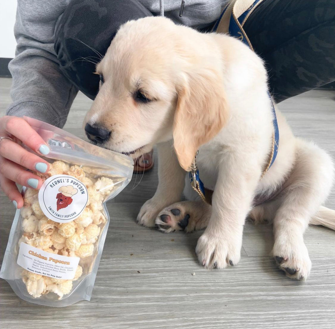 Kernel's Pupcorn 4-Pack – Smith Family Popcorn